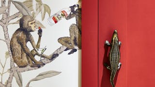 monkey wallpaper drinking